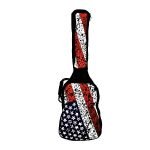 Top 7 ChromaCast Guitar Cases You Can Buy In 2023 - Music Box Essentials