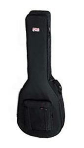 7 Best Acoustic Bass Cases that Fit and Protect Your Guitar - Music Box ...